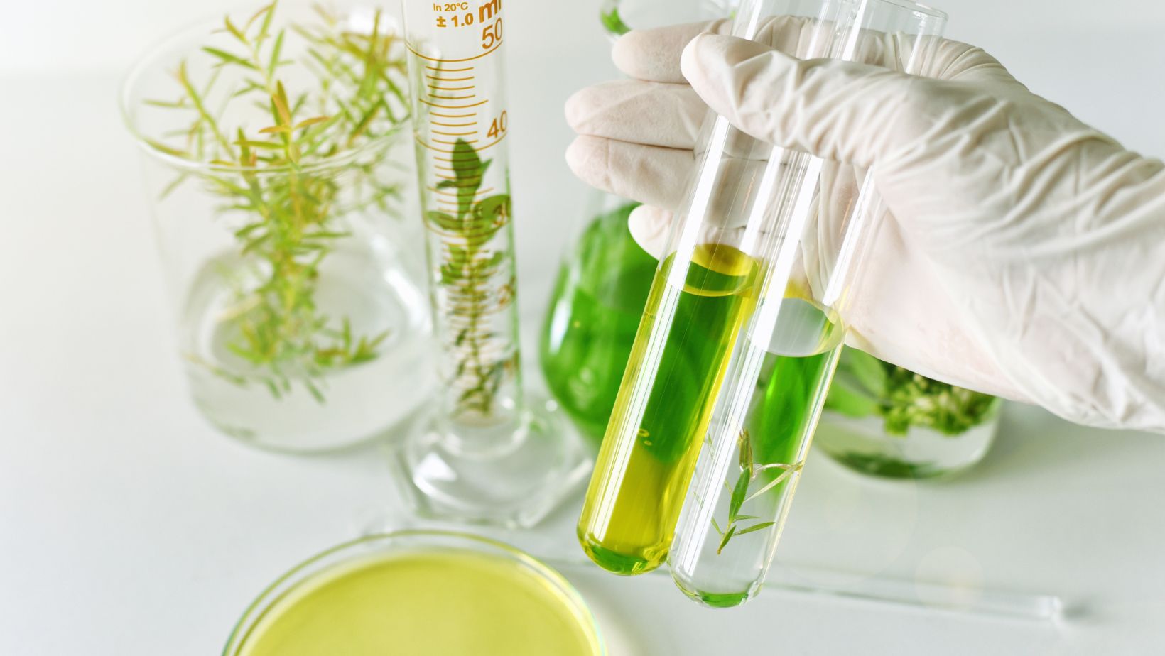 Understanding the Industrial Revolution Science Definition: Key ...